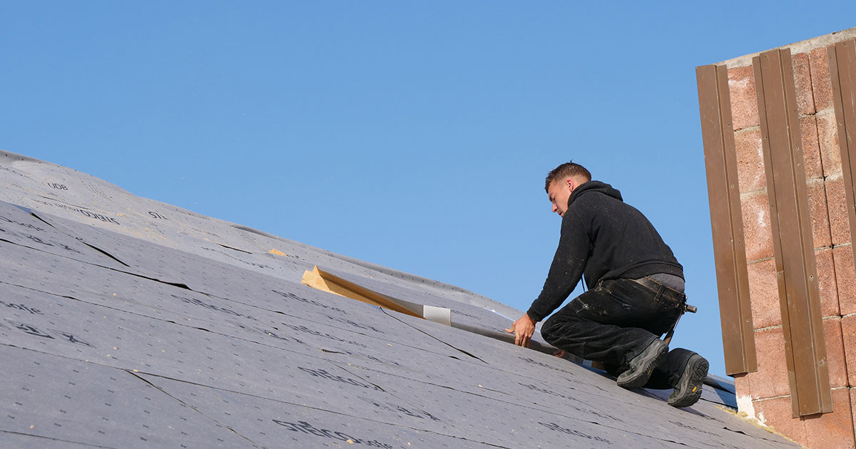 STEICO universal mm (Dämmstoffe) - online bestellen